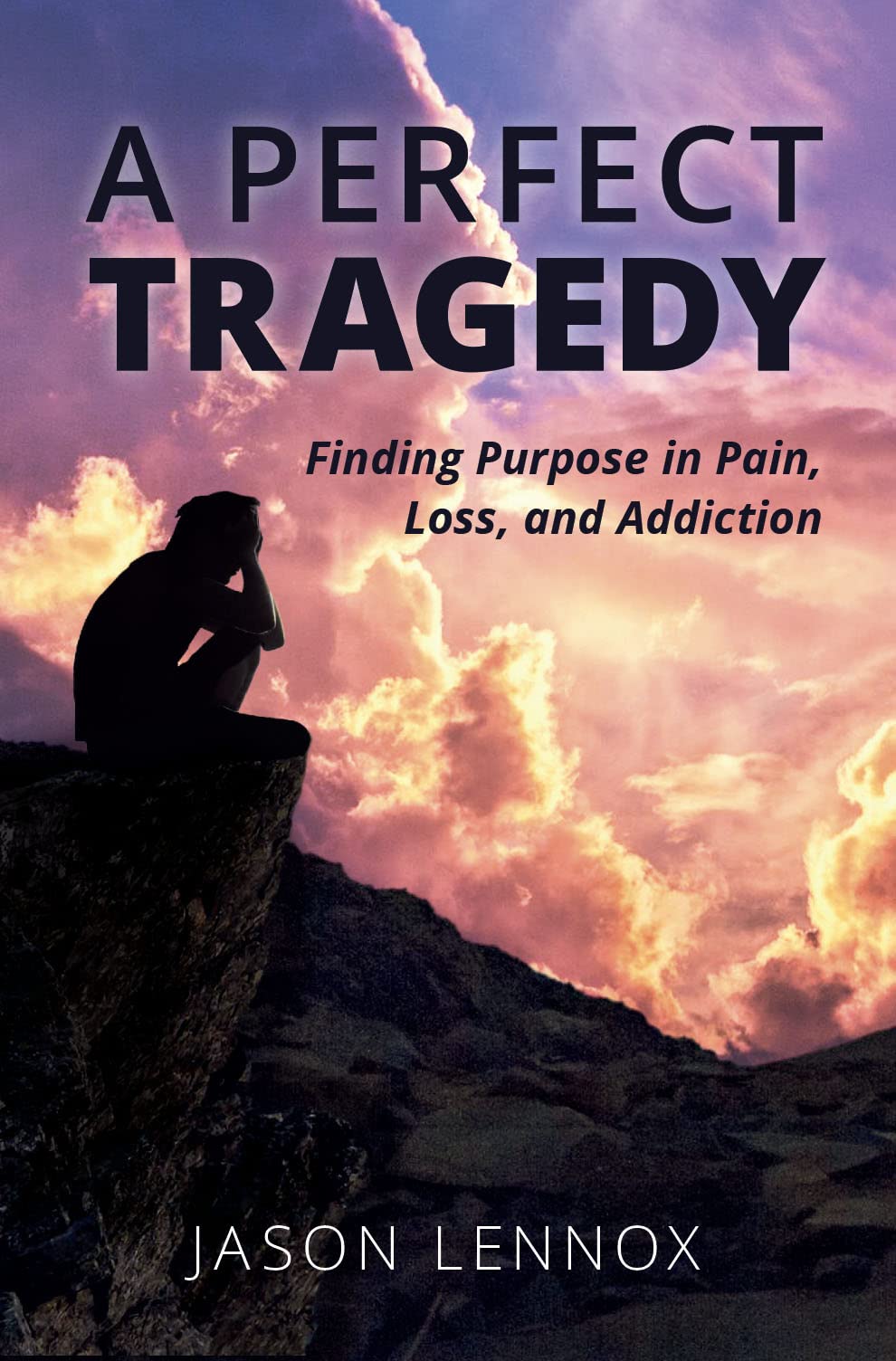 A Perfect Tragedy: Finding Purpose in Pain, Loss, and Addiction by ...