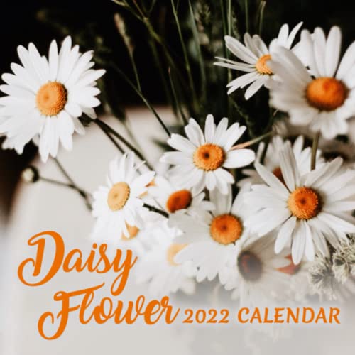 Daisy Calendar 2022: January 2022 - December 2022 OFFICIAL Squared ...