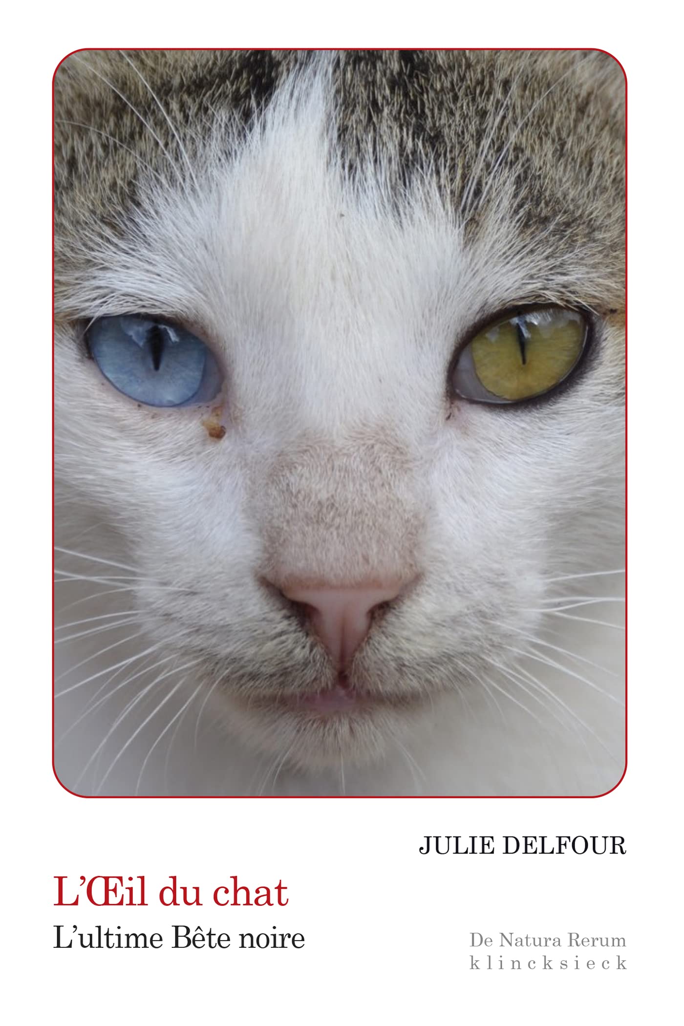 L’Œil du chat: L’ultime Bête noire (French Edition) by Julie Delfour ...