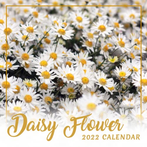 Daisy Calendar 2022: January 2022 - December 2022 OFFICIAL Squared ...