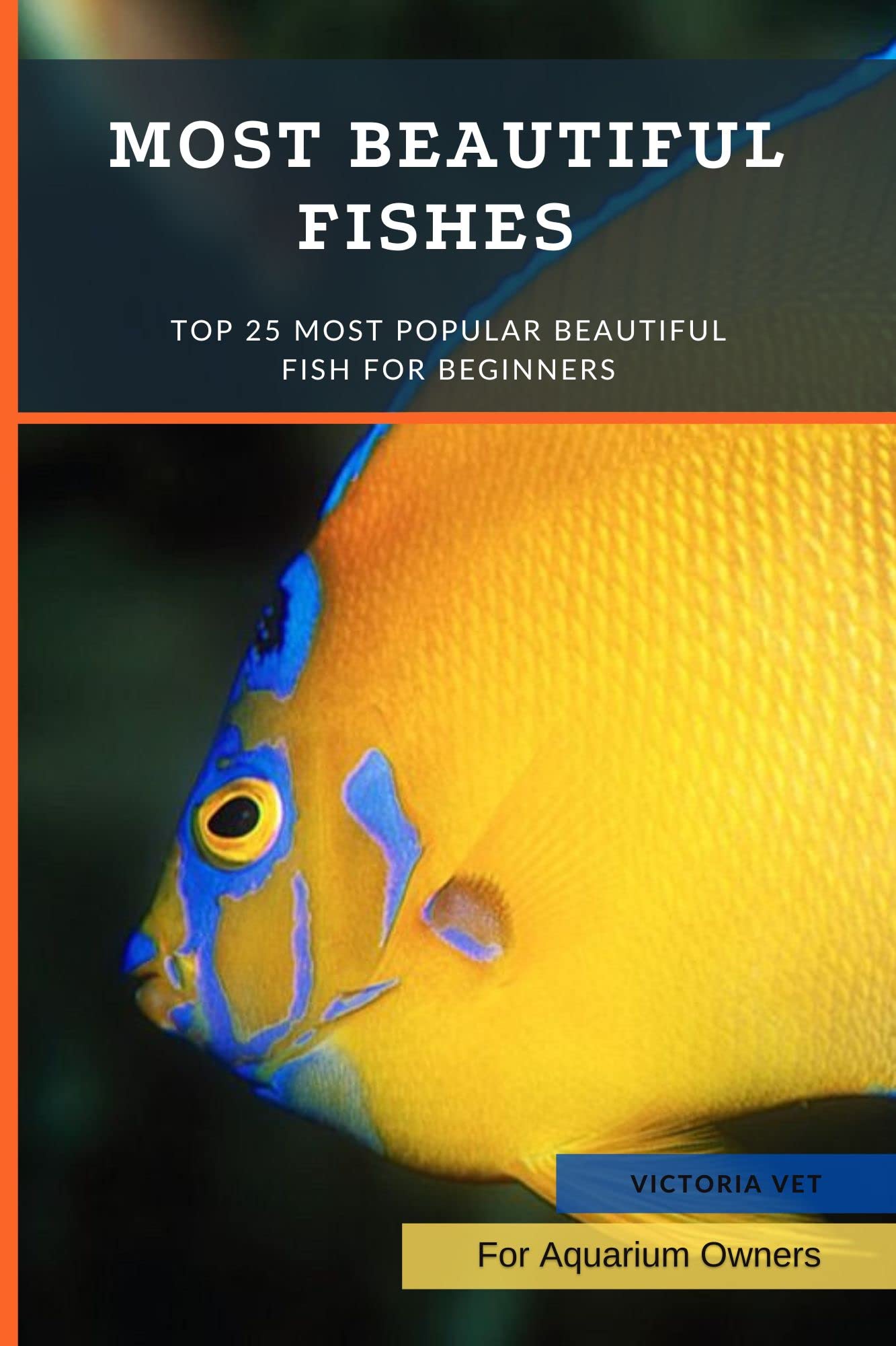 Most Beautiful Fishes: Top 25 Most Popular Beautiful Fish For Beginners ...