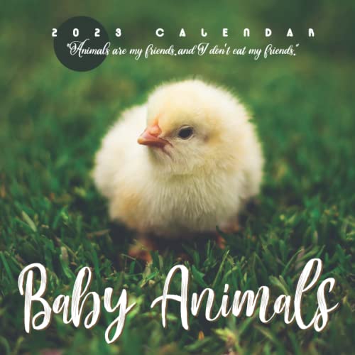 Baby Animals Calendar: Beautiful 18-month 2023 Calendar - Gift for ...