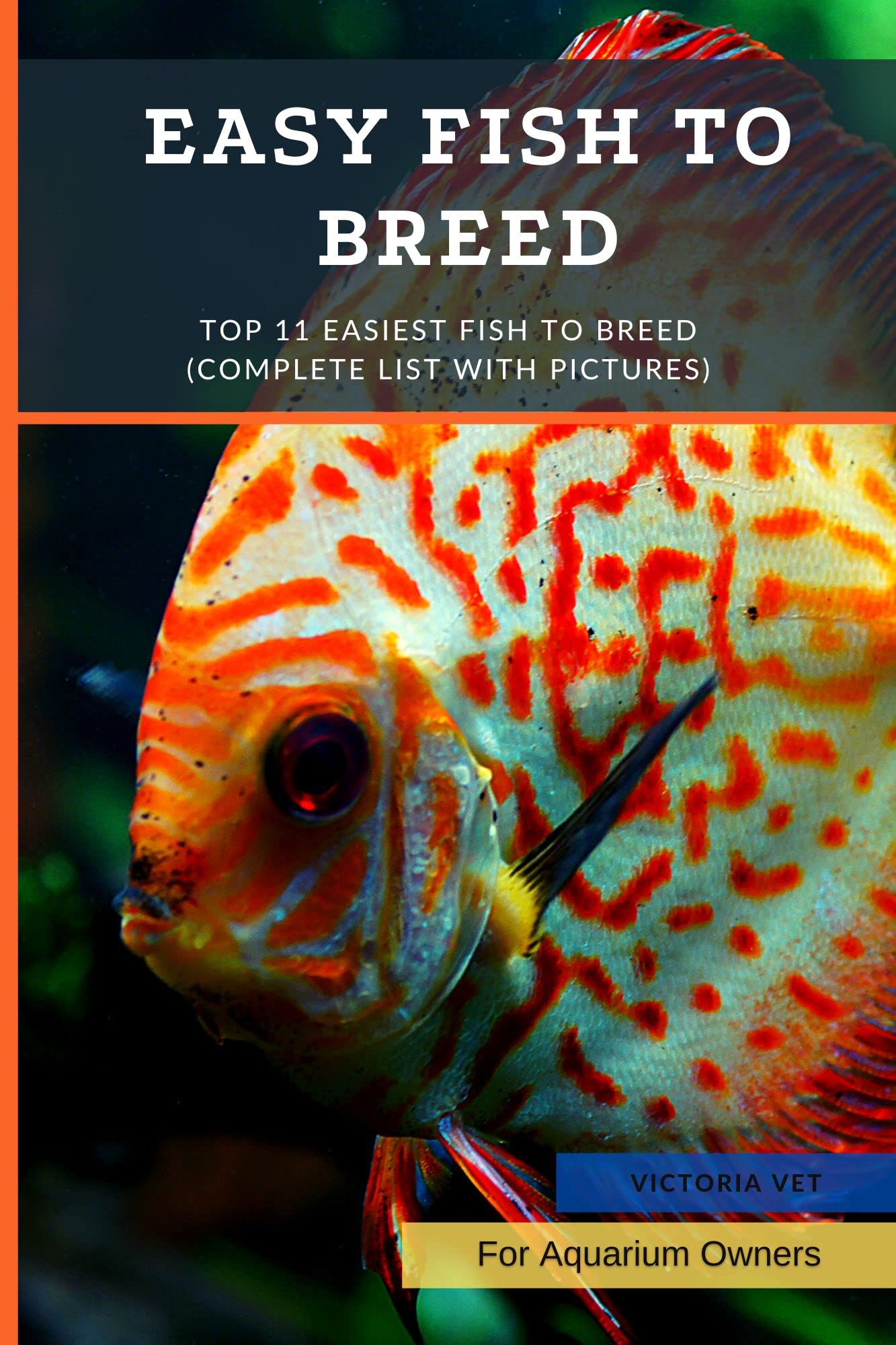 Easy fish to breed: Top 11 Easiest Fish To Breed by Victoria Vet ...