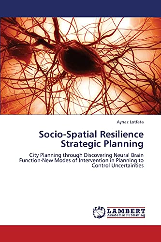 Socio-Spatial Resilience Strategic Planning: City Planning through ...