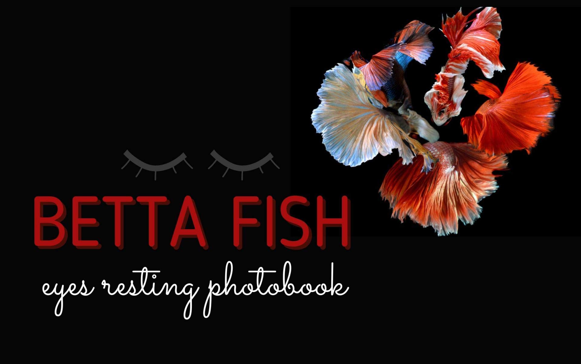 BETTA FISH Eyes Resting Photobook: The best for fish Lovers to relax ...