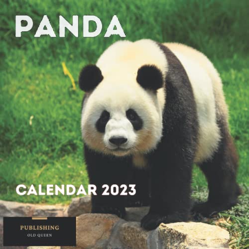 panda Calendar 2023: Panda Calendar 2022: Monthly Square Calendar 2022 ...