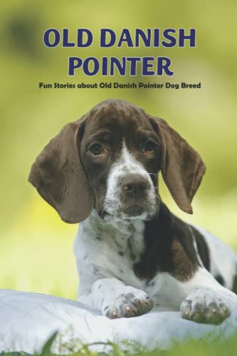 Old Danish Pointer: Fun Stories about Old Danish Pointer Dog Breed by ...