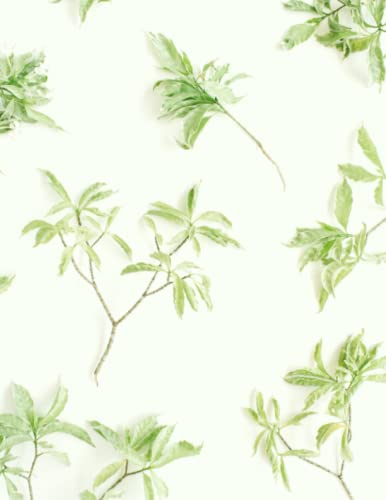 8.5" x 11" Notebook green leaf pattern: 100 college ruled pages, plus a ...