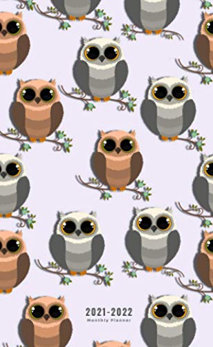 2021-2022 Monthly Planner: Cute Owl Theme Cover Design Small Size 2 ...