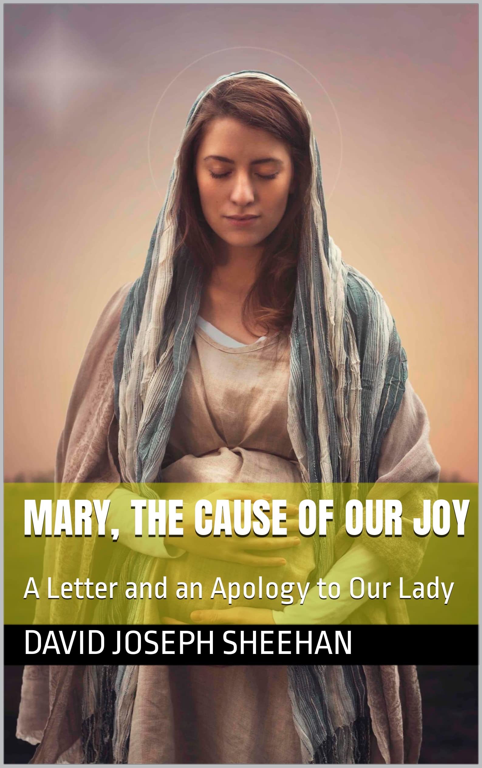 Mary, The Cause of Our Joy: A Letter and an Apology to Our Lady by ...