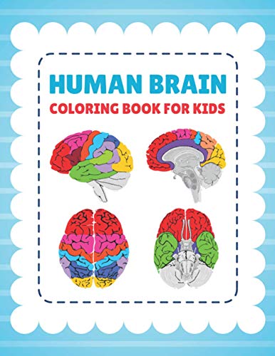 Human Brain Coloring Book For Kids: Brain Art & Anatomy Workbook for ...
