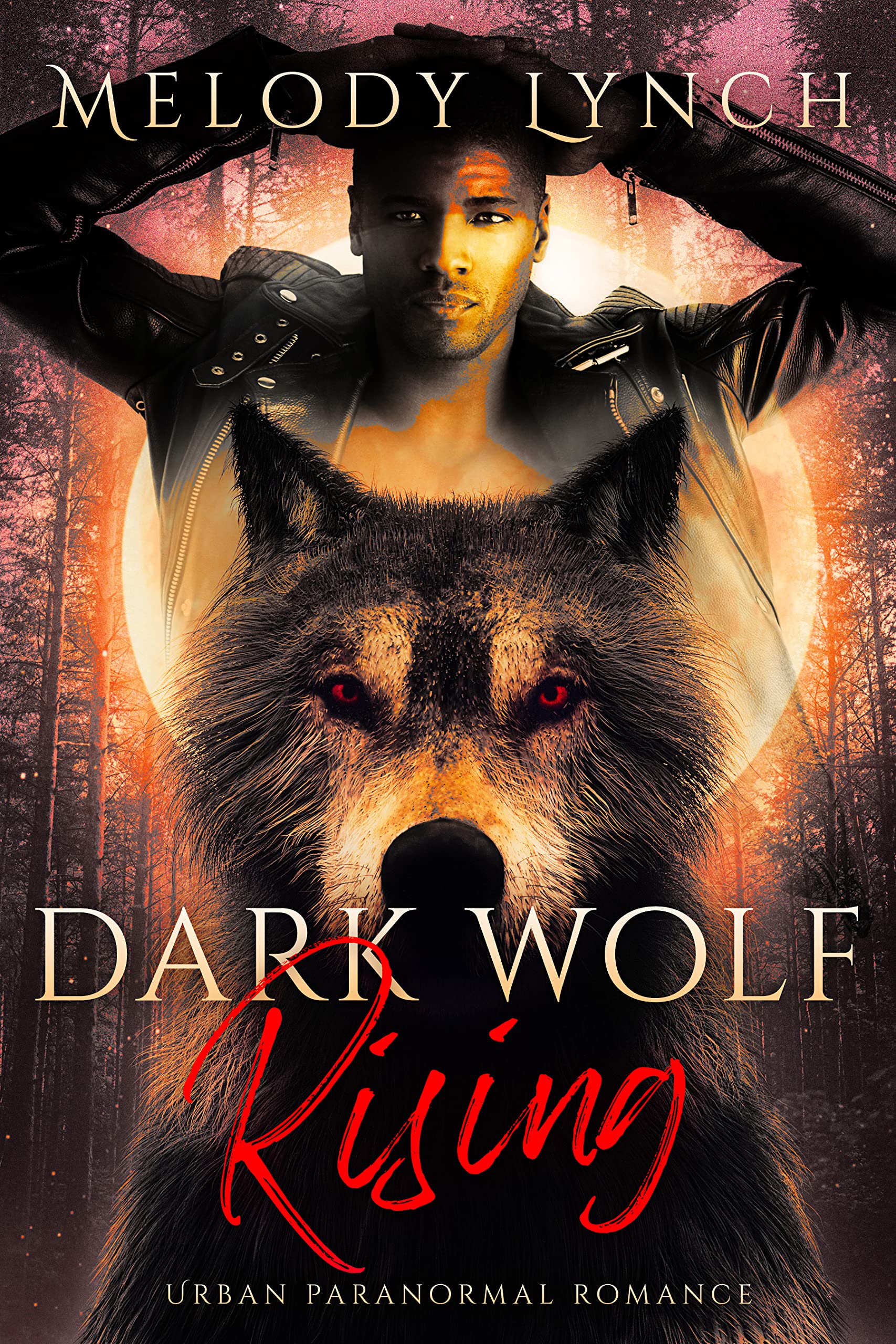 Dark Wolf Rising (African American Urban Shifters #4) by Melody Lynch ...