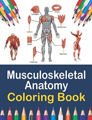 Musculoskeletal Anatomy Coloring Book: Now you can learn and master the ...
