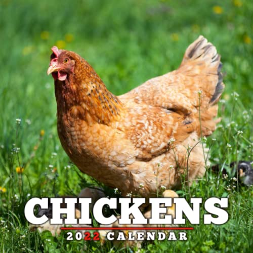 Protect Rescue Chickens Calendar 2022: "Farm Animals, cute, chicken for ...