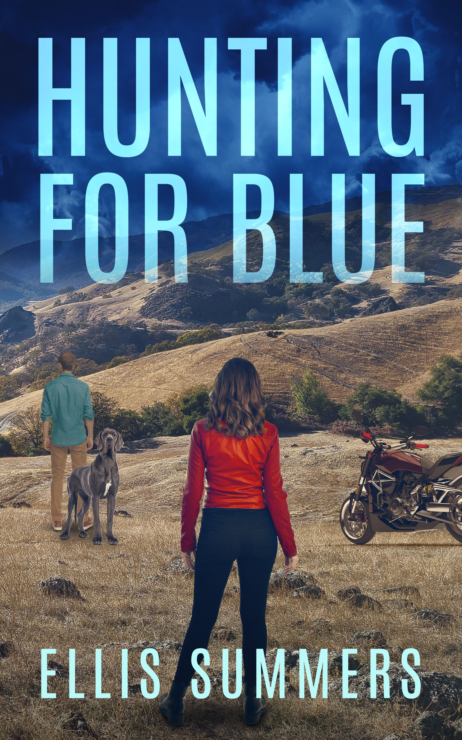 Hunting For Blue by Ellis Summers | Goodreads