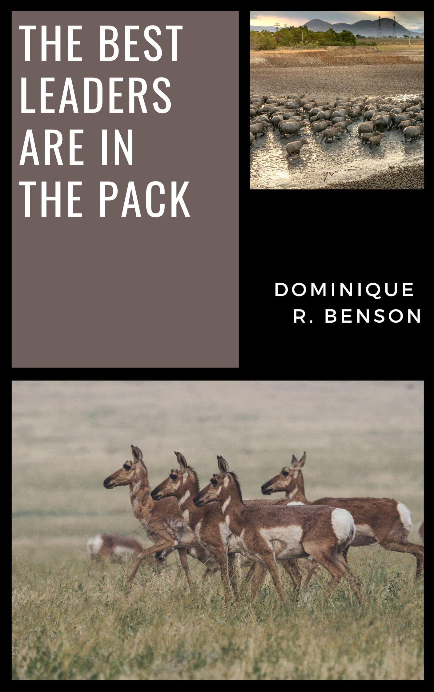 The Best Leaders Are In The Pack by Dominique Benson | Goodreads