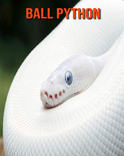 Ball Python: Amazing Facts & Photos about Ball Python by Sara Lucas ...