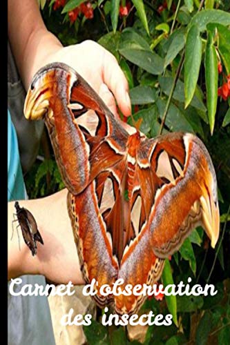 Carnet d'observation des insectes: Observation des insectes ; Carnet ...