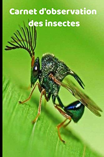 Carnet d'observation des insectes: Observation des insectes ; Carnet ...