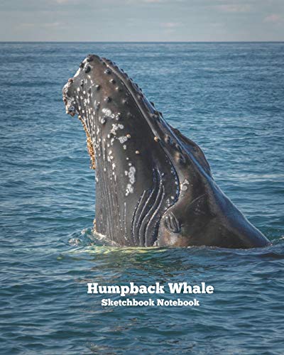 Humpback Whale Sketchbook Notebook by It's About Time | Goodreads