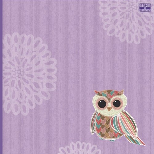 Write Here Journals: Owl Custom Journals Cute Notebooks Lined Paper ...