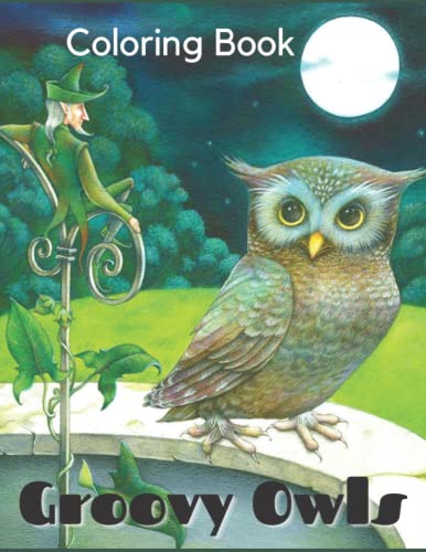 Groovy Owls Coloring Book: Coloring Book for Kids and Adults by Ana ...