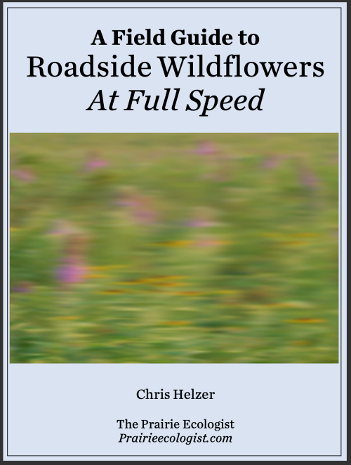 A Field Guide to Roadside Wildflowers at Full Speed by Chris Helzer ...