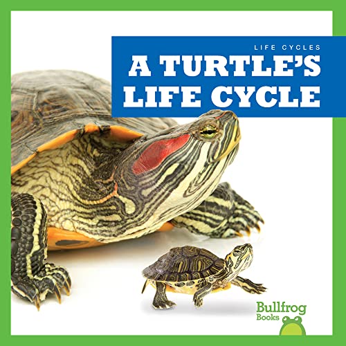 A Turtle's Life Cycle (Bullfrog Books: Life Cycles) by Jamie Rice ...