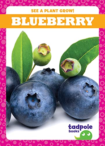 Blueberry (Tadpole Books: See a Plant Grow!) by Charlie W. Sterling ...