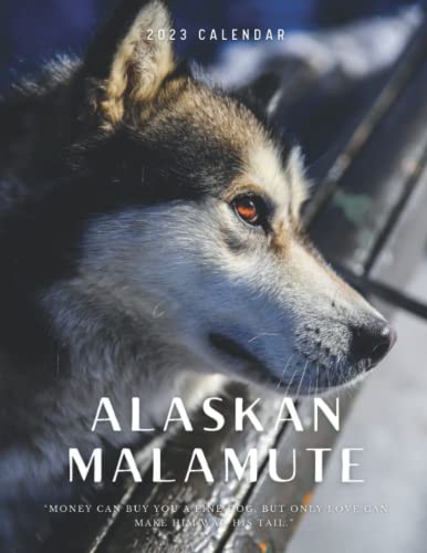 Alaskan Malamute Calendar: Beautiful 18-month 2023 Calendar - Gift for ...