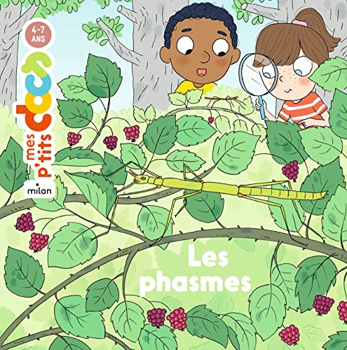 Les phasmes (Mes p'tits docs) by Stéphanie Ledu | Goodreads
