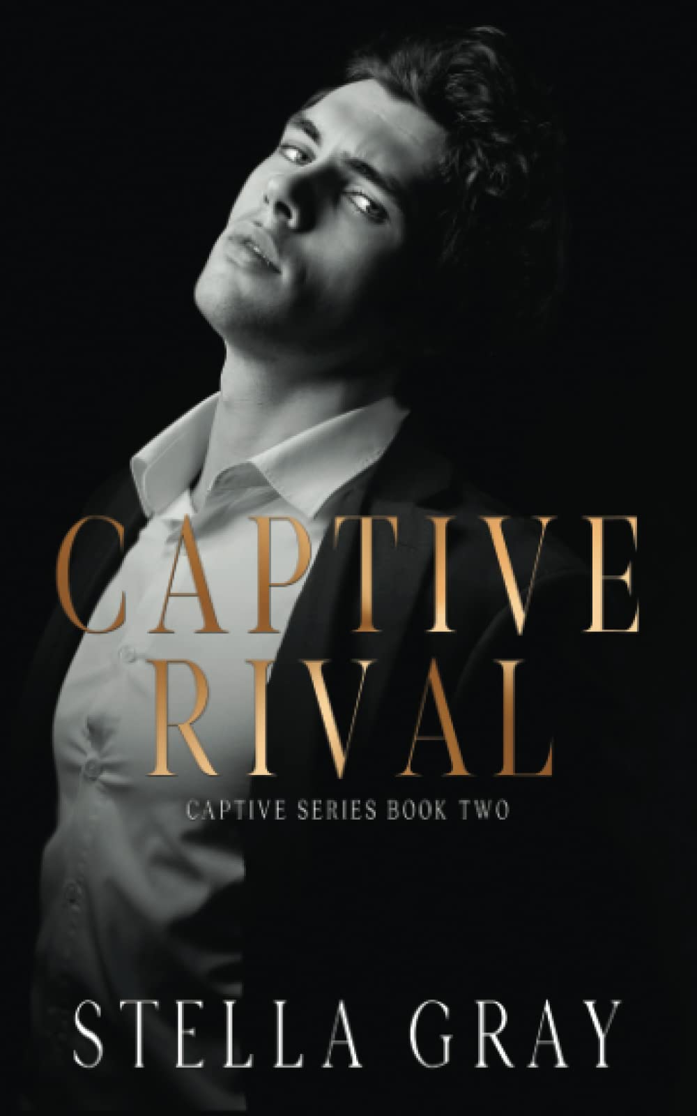 Captive Rival: Armani by Stella Gray | Goodreads
