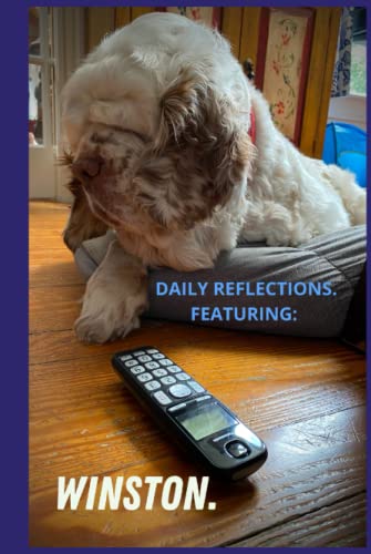 Daily Reflections. Featuring: Winston.: A 6x9, 100-page, wide-ruled ...