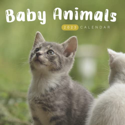 Baby Animals Calendar: Beautiful 2023 Calendar Gift for Family, Friends ...