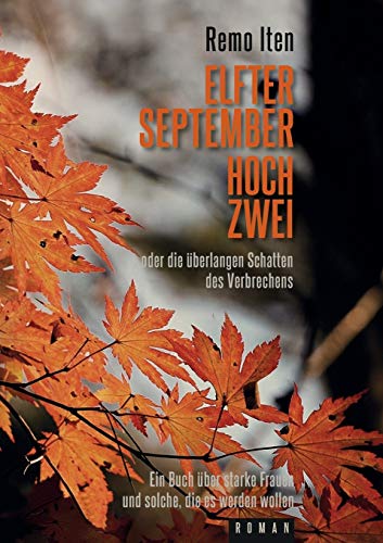 Elfter September hoch Zwei oder die überlangen Schatten des Verbrechens ...