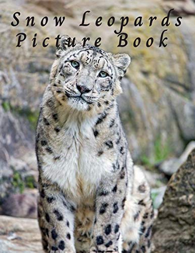Snow Leopards Picture Book: The Ghosts of the Mountains by Simeon ...