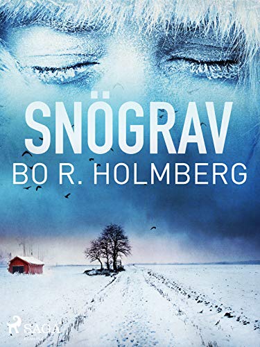 Snögrav (Swedish Edition) by Bo R. Holmberg | Goodreads