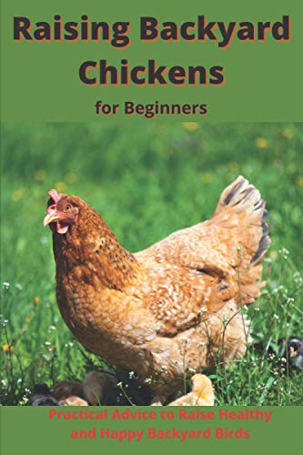 Raising Backyard Chickens for Beginners: Practical Advice to Raise ...