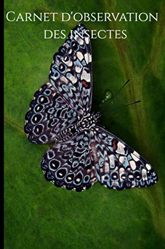 Carnet d'observation des insectes: Observation des insectes ; Carnet ...