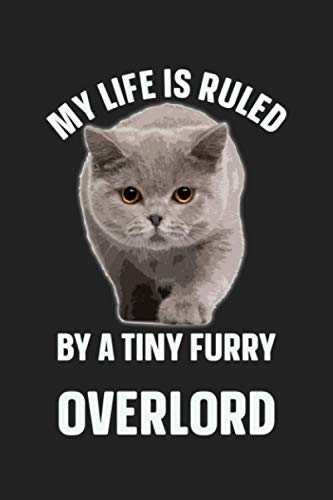 My Life is Ruled by a Tiny Furry Overlord Funny kitten Cat by Sonia ...