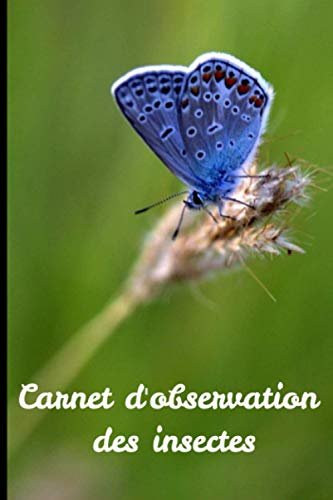 Carnet d'observation des insectes: Observation des insectes ; Carnet ...