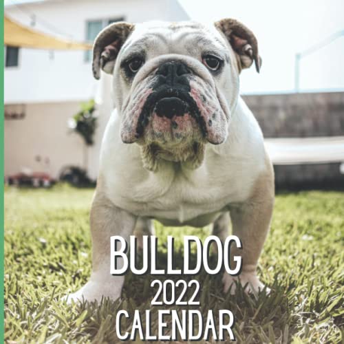 Bulldog Calendar 2022: Bulldog Mom or Dad Gift Idea | January 2022 ...