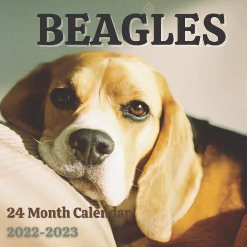 Beagles Calendar 2022-2023: 24 Month Calendar: Animal Calendar: Great ...