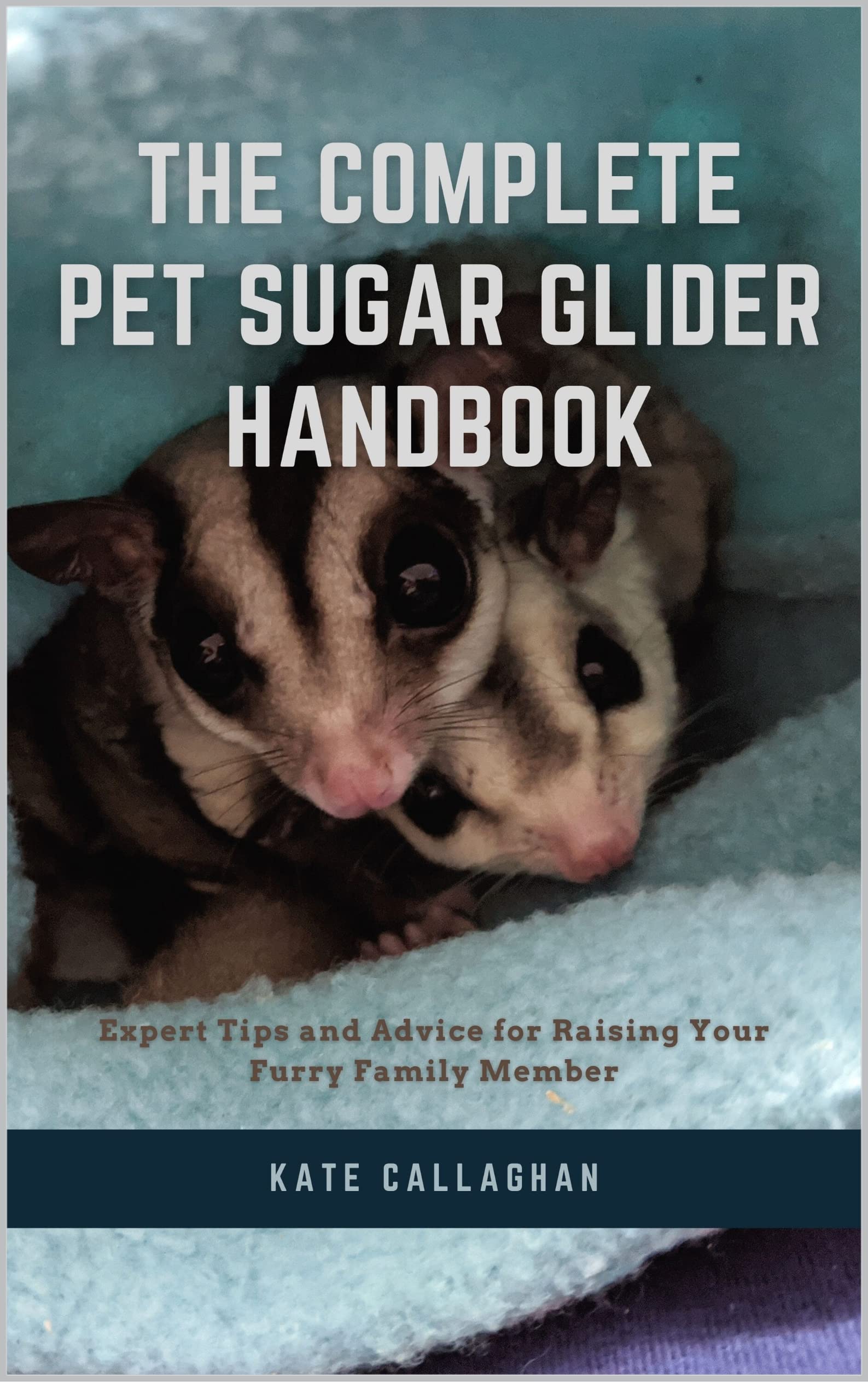 The Complete Pet Sugar Glider Handbook: Expert Tips and Advice for ...