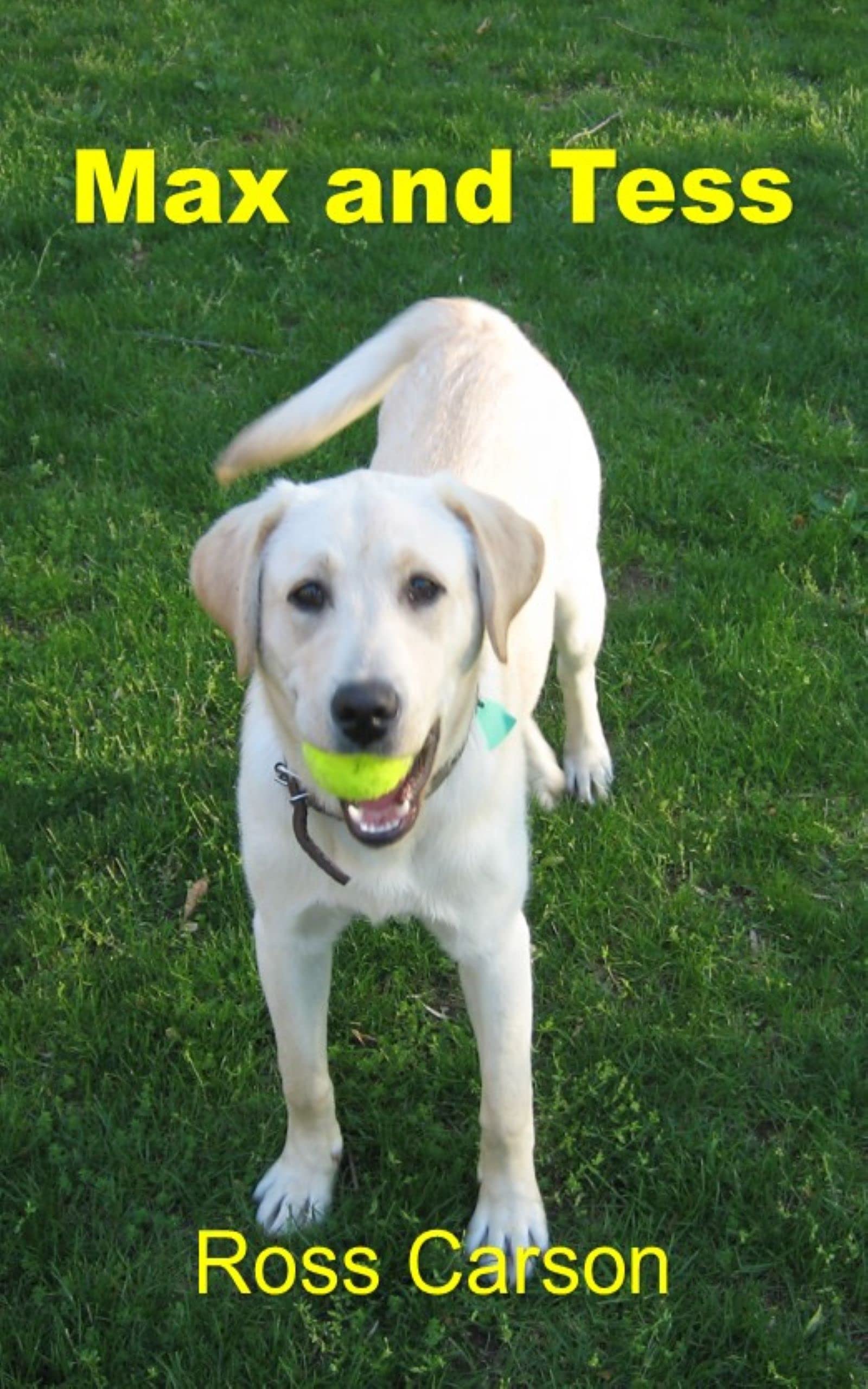 Max and Tess by Ross Carson | Goodreads