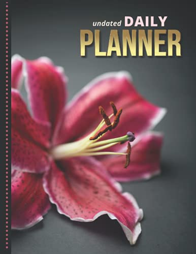 Undated Daily Planner: 8.5x11 One Page Per Day Diary / 365 Logs / 6AM ...