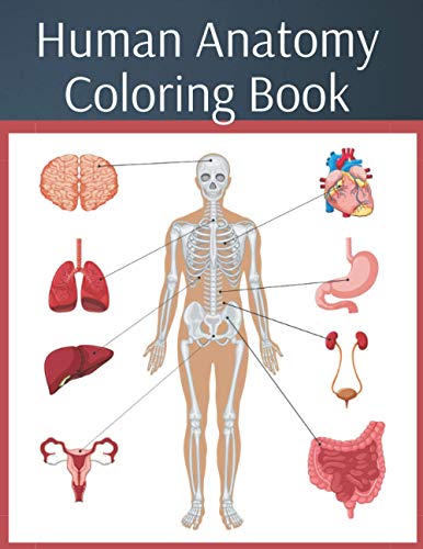 Human Anatomy Coloring Book: colouring workbook medical physiology ...