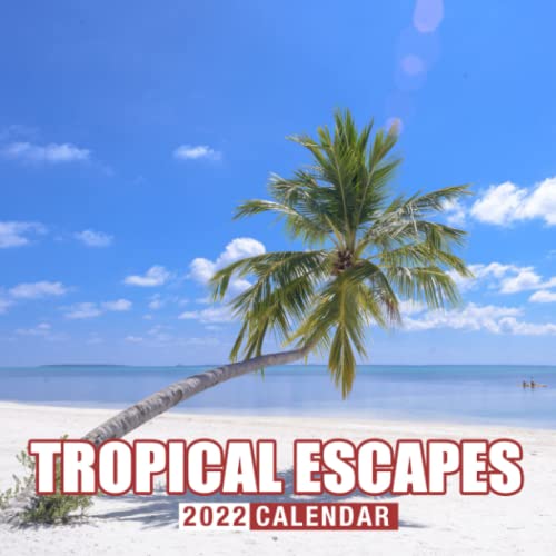 Tropical Escapes Calendar 2022: Natural World Theme Calendar 2022 ...