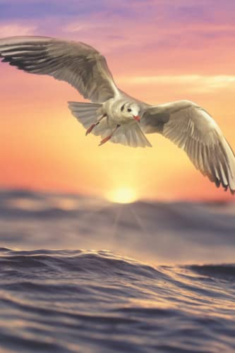 The Perfect Flight Journal: paperback, 100 soft white pages with soft ...