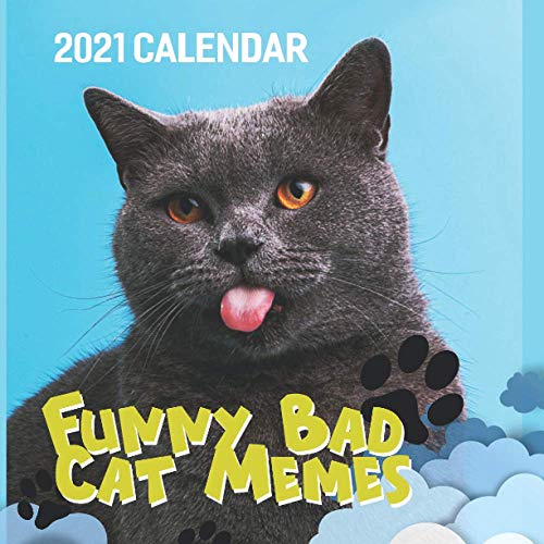 Funny Bad Cat Memes: 2021 Wall Calendar - 8.5"x8.5", 12 Months by Hello ...